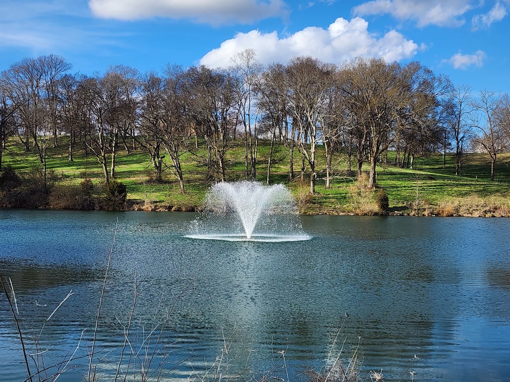 Did You Know? Jones Lake Management Offers More Than Just Fish Stocking!